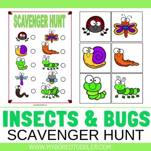 Insects & Bugs Toddler / Preschool BUNDLE - math literacy centers fine ...