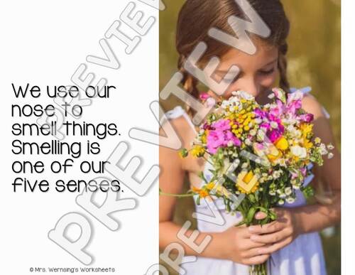 Exploring with Our Nose - Projectable Read-Aloud Lesson - KINDERGARTEN ...