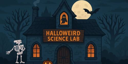 General Science: Halloween Themed Escape Room | Middle | High | Spooky ...