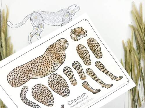 BUNDLE | Cheetah | Printable Paper Craft Templates | Cheetahs | TPT