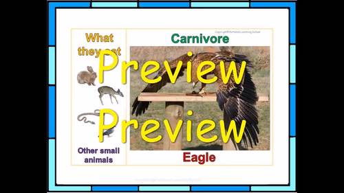 Carnivores,Herbivores,Omnivores-Slides,Worksheets-with real images ...