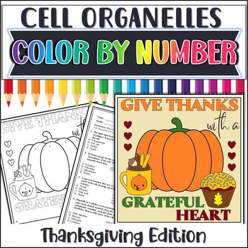 Thanksgiving Science Color by Number Bundle | Biology Thanksgiving ...
