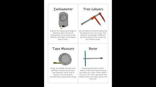 Math in the Forest: outdoor applied math activities! Pi, angles, and more