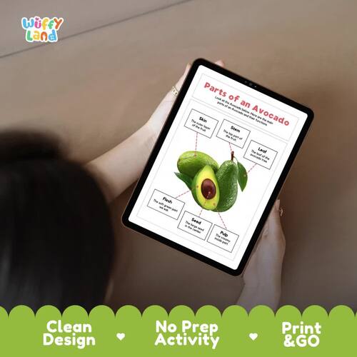 Parts of an Avocado Labeling Activity | Plant Anatomy & Botany Science ...