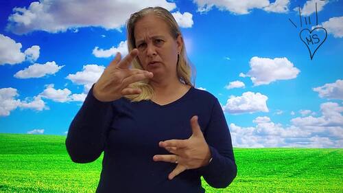 ASL Unit 6 Video 19 by Melissa Sexton | TPT