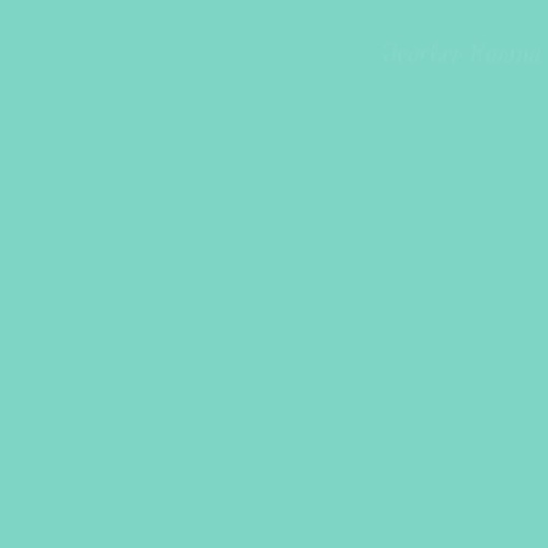 Editable Learning Objectives & Goals Posters / Display Retro Decor