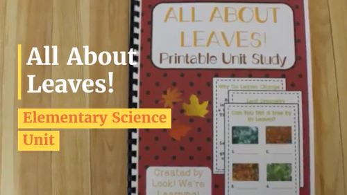 Fall Leaves Unit - All About Leaves! by Look We're Learning | TpT