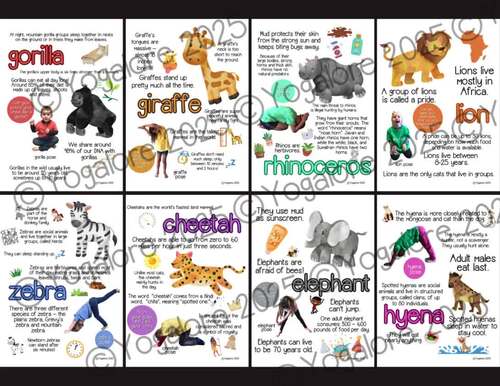 Safari & Jungle Animal Yoga & Fact Posters | Movement Activity for ...