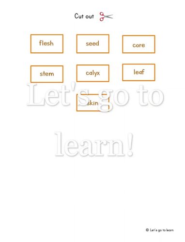 Apple Unit Study, Parts, Life Cycle, Varieties, Learning Pack, Fall, Autumn