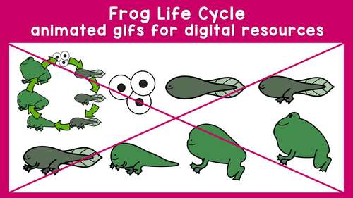Frog Stages Animated GIFs Animal Life Cycle by Little Patches Learning Club
