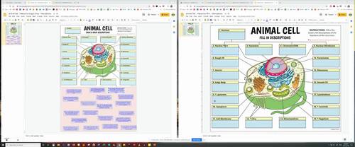 Animal Cell - Interactive Google Slide Activity by Tangstar Science