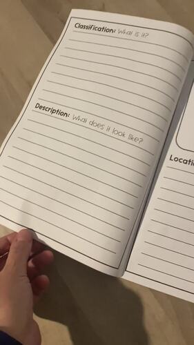 Information Report - Graphic Organisers and Booklet Style Writing Template