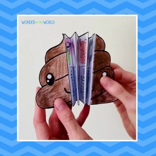 Digestive system sequence and fold activity - human body systems digestion