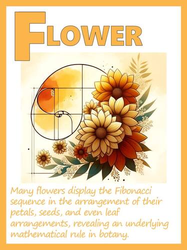 The ABC's of Math in Nature! | Math Alphabet Poster Set | Bulletin ...