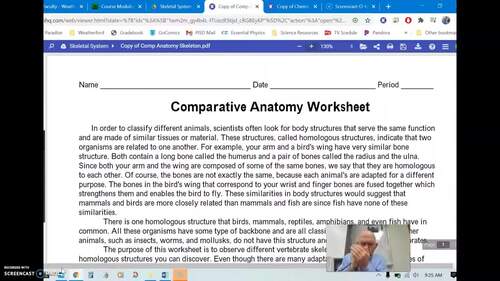 Comparative Skeleton Anatomy WS by Denver McMurry | TPT