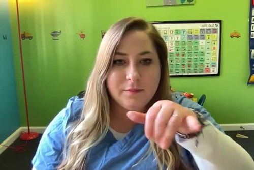 Core Vocab ASL Dictionary by Molly's Speech Resources | TpT