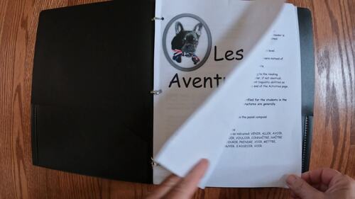 French Reading Comprehension Les Aventures de Lola, Novice/Intermediate ...