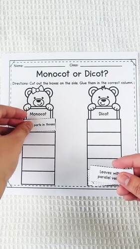 Monocot or Dicot? Cut and Paste Sorting Activity – Fun Plant Science ...