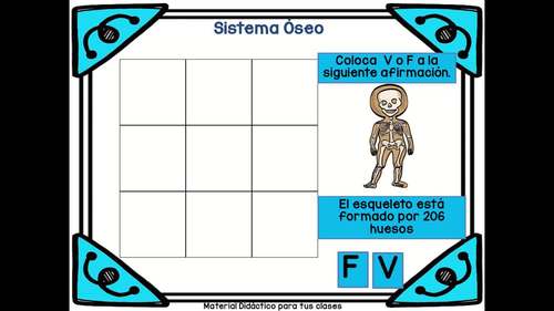 El Sistema Óseo Digital- PowerPoint - Spanish Resources | TPT