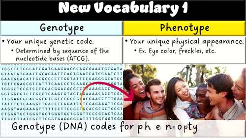 Heredity Genetics Unit Complete Lesson Bundle by Science With Grapes