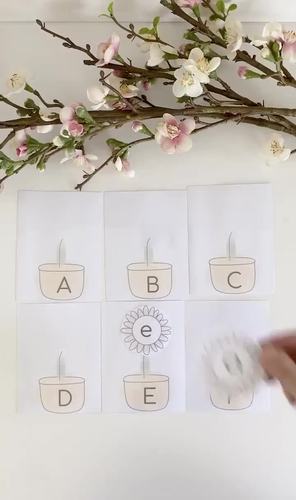 LETTER MATCH | Upper and Lower Case Letter Matching Cards | Flower Pot
