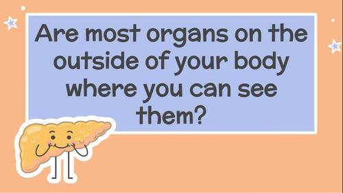 CKLA Grade 1 - Knowledge Domain 2: The Human Body Test and Review Bundle