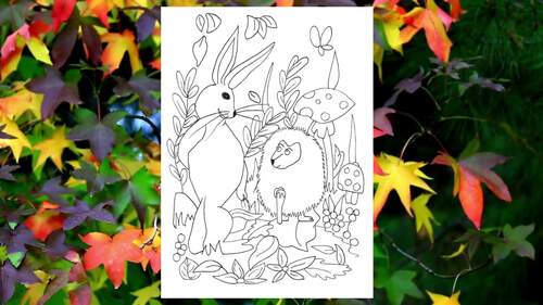 Hare And The Hedgehog Coloring Page For Kids And Adults Autumn Nature