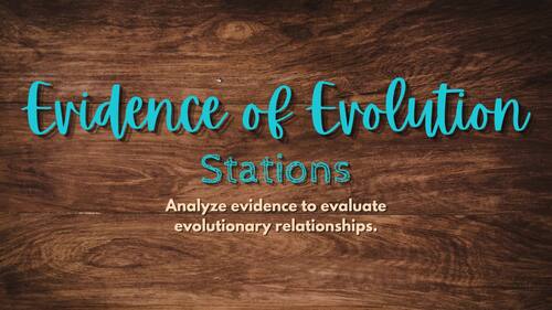 Evidence of Evolution Detectives | Evolution and Classification ...
