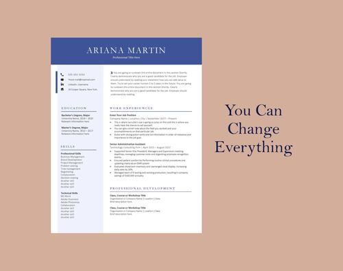 Professional Resume template, Executive Resume, Senior Consultant CV ...