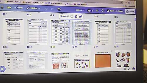 Mega Unit Color Themed ABA Brown Bear Activities by Track Stars Teaching