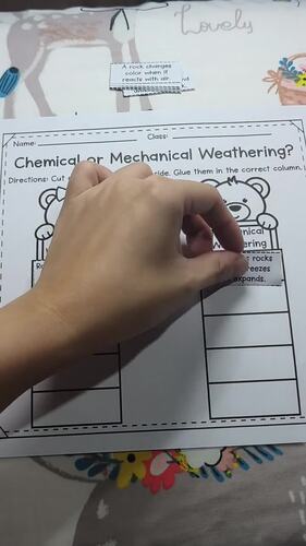 Chemical Weathering or Mechanical Weathering Sorting Activity – Cut & Paste