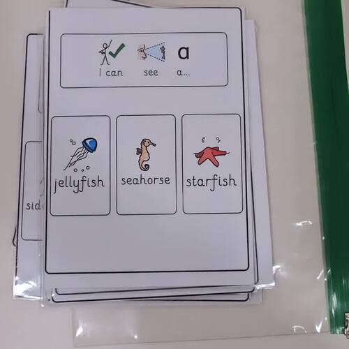 Errorless conversation cards for Special Education | Autism | SEN Literacy