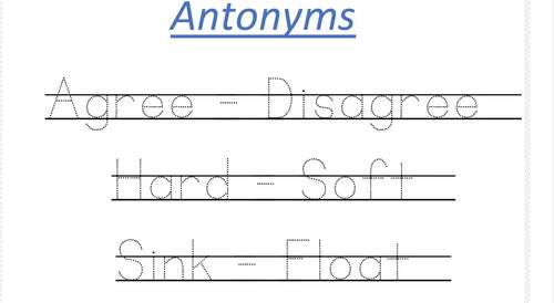 Vocabulary Worksheet - All in one bundle of antonyms,synonyms,tenses ...