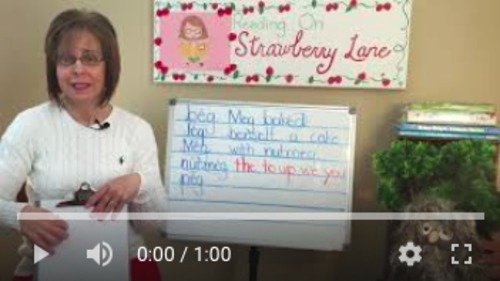 VIDEO: Reading: Set 1. Lesson 17. Word Family Pattern -eg | TpT