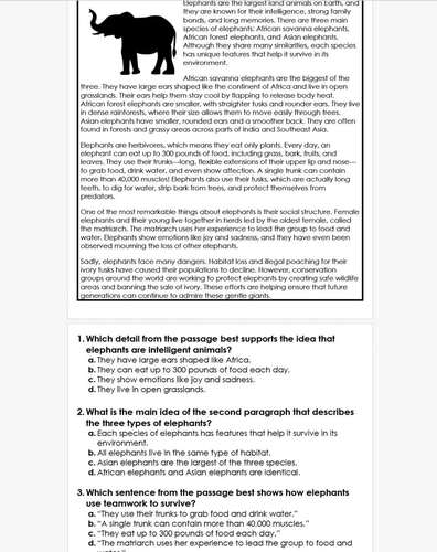 Elephants Informational Text | Nonfiction Reading Passages & Questions ...