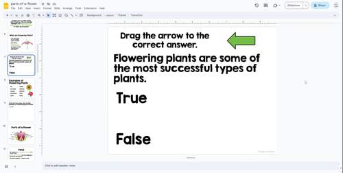 Parts of a Flower Interactive Lesson by Kayla Renee' - Bright in the Middle