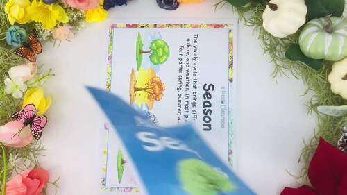 Seasons Diversified Nonfiction Reading 2nd Grade Lesson Points Reasons ...