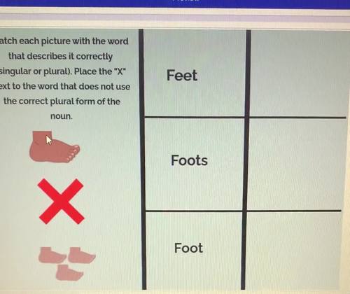 Irregular Plurals Boom Card by Speechie Worksheet Station | TPT
