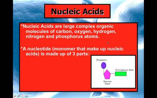 Biology Lecture Video/Nucleic Acids /Flipped Classroom/Edpuzzle Ready