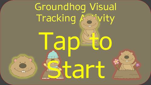 "Groundhog Day" - Visual Tracking Activity by TVI Educational Services