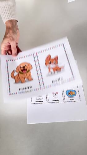 Spanish Flashcards - The Pets (Las Mascotas) by Maria - Spanish in Action