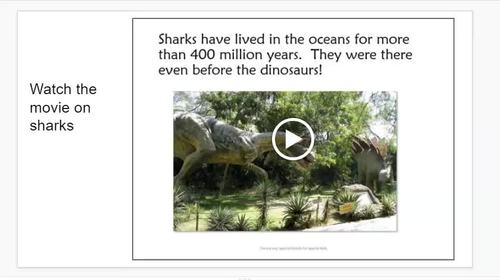 Shark Unit for Special Education with digital activities | Distance ...