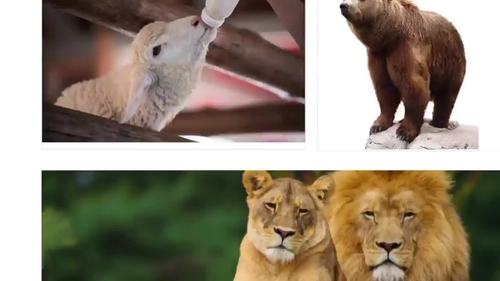 Spanish Present Subjunctive Digital Escape Room Game High School ...