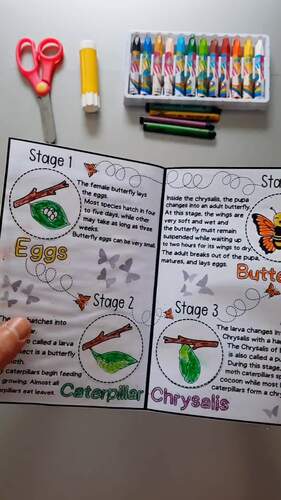 Butterfly Life Cycle Craft - Life Cycle of a Butterfly Spring Science ...
