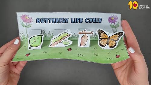 Butterfly Life Cycle 3D Craft by 10 Minutes of Quality Time | TPT