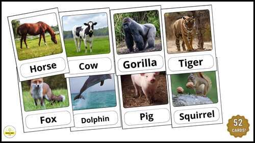 Mammals Animal Classification Flashcards, ESL Vocabulary Photo Picture ...