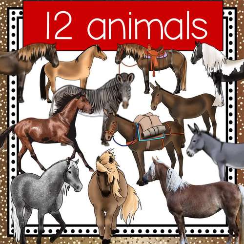 Size sorting activity with realistic horses by JK Special Education