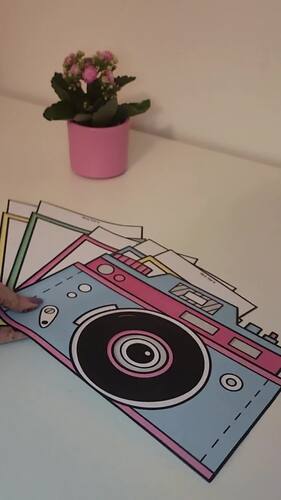 End of The Year Camera Craft by Hamna Million's Little Learners | TPT