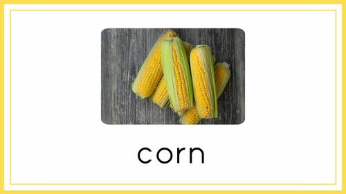 [Editable Presentation VER.] Thanksgiving Vocabulary Flashcards | TPT