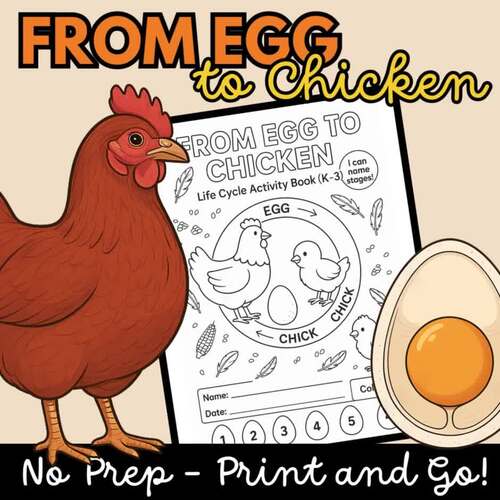 Chicken Life Cycle Worksheets K-3 | Egg to Chick Science, Labeling ...